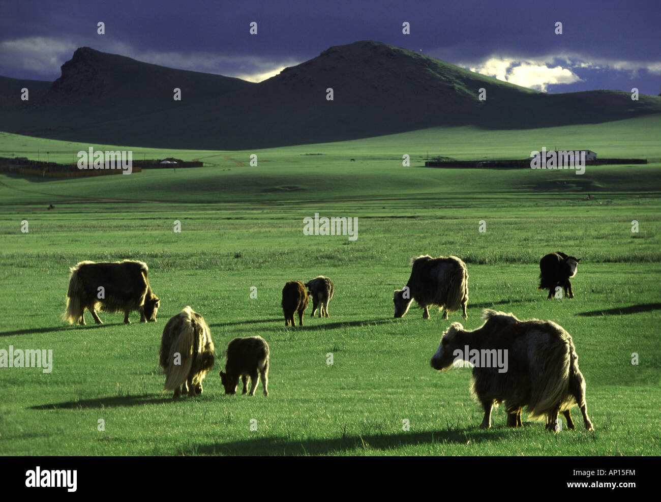 Aimak hi-res stock photography and images - Alamy