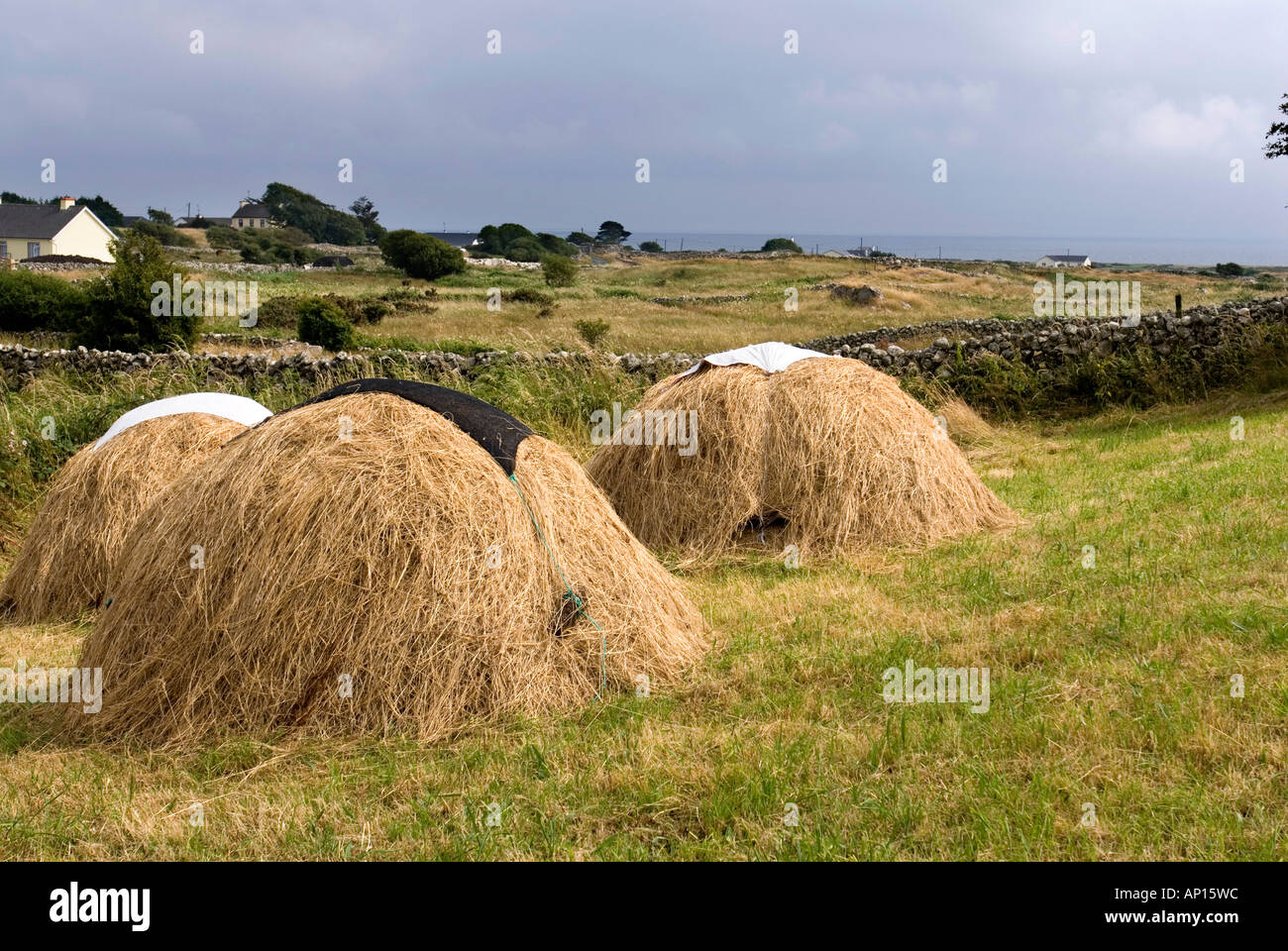 Bails of hay ireland hi-res stock photography and images - Alamy