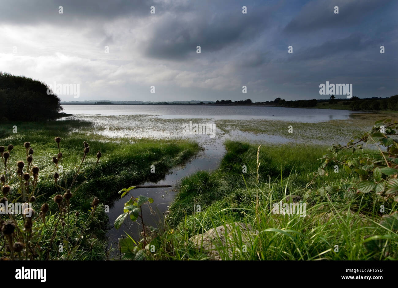 Stoneyford Reservoir, Co. Antrim, Northern Ireland Stock Photo - Alamy