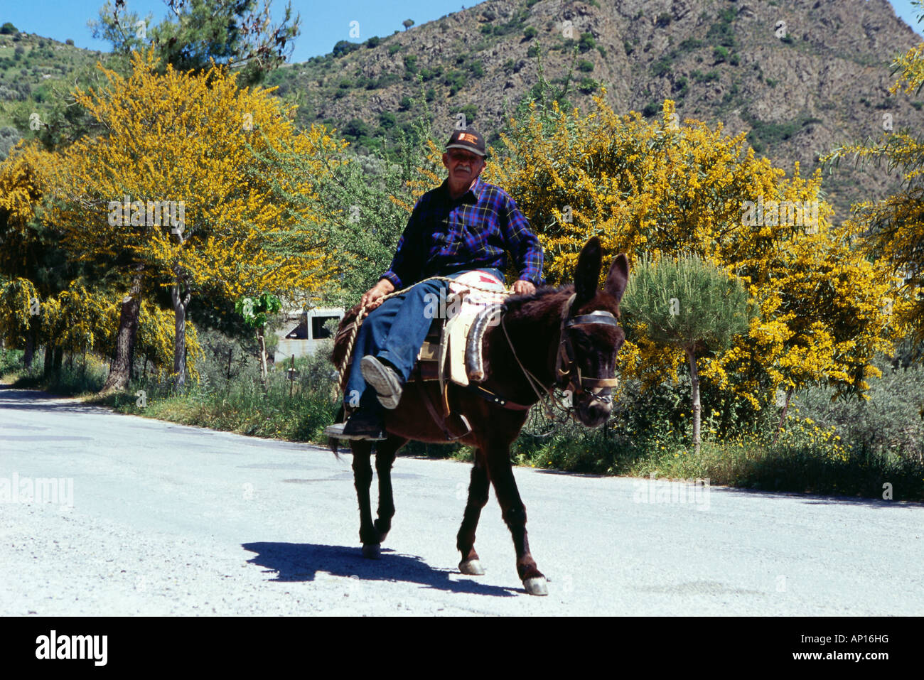 Farmer on Donkey near Kamares, Crete, Griechenland Stock Photo - Alamy
