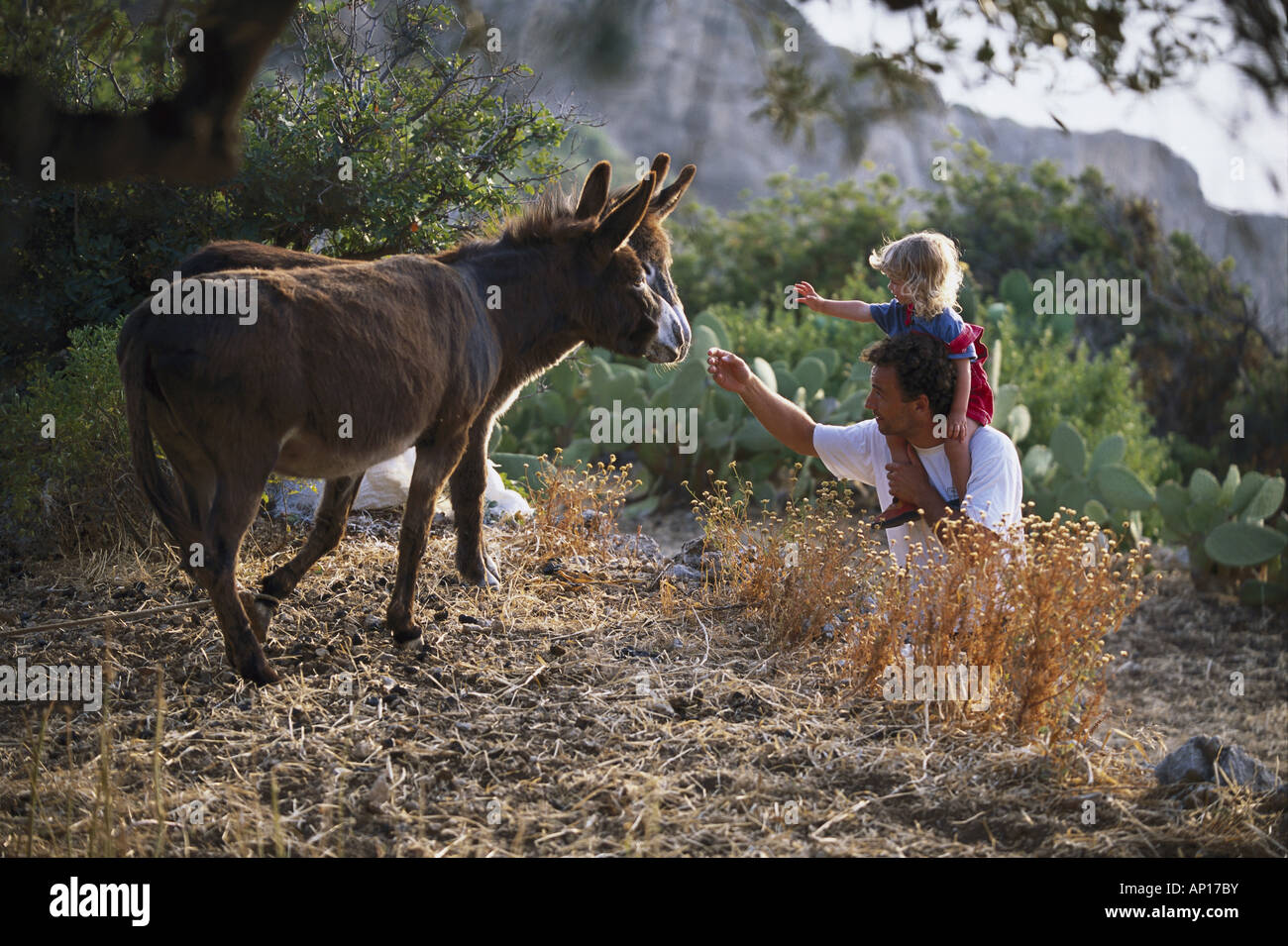 Little donkeys hi-res stock photography and images - Alamy