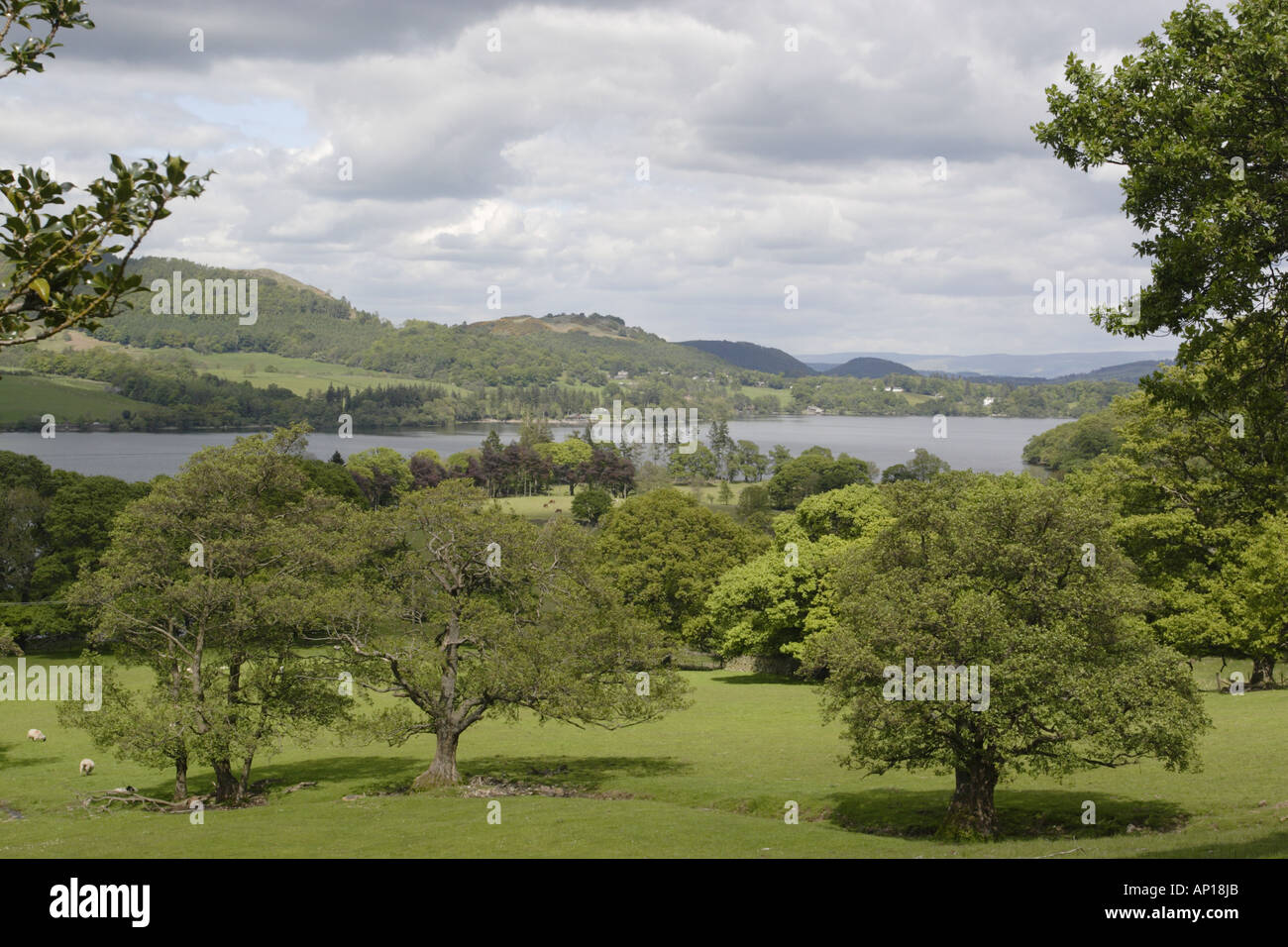 Lakeland view, Ullswater Stock Photo - Alamy