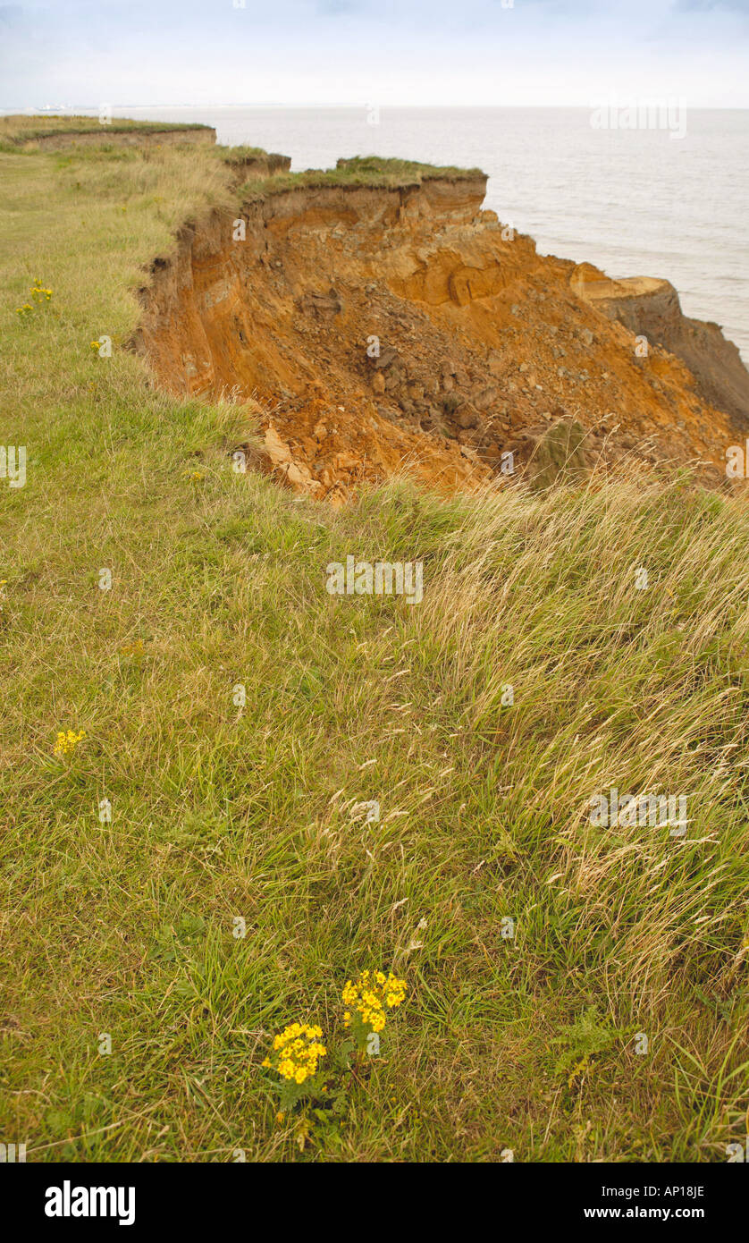 Coastal Erosion Cliffs 2005 Walton on the Naze Essex UK Stock Photo - Alamy