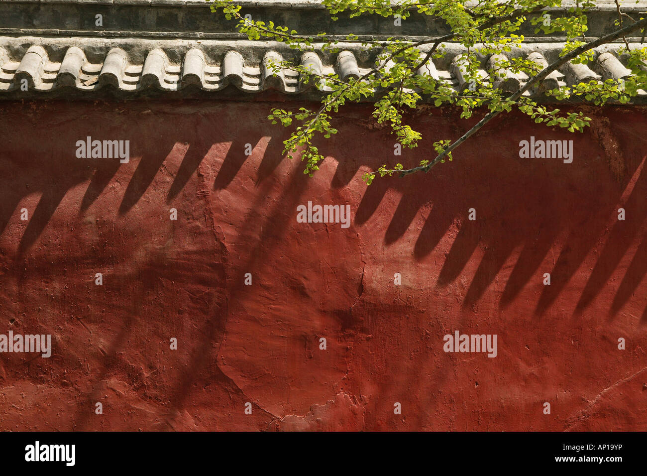 red garden walls of Fa Wang monastery Taoist Buddhist mountain, Song ...
