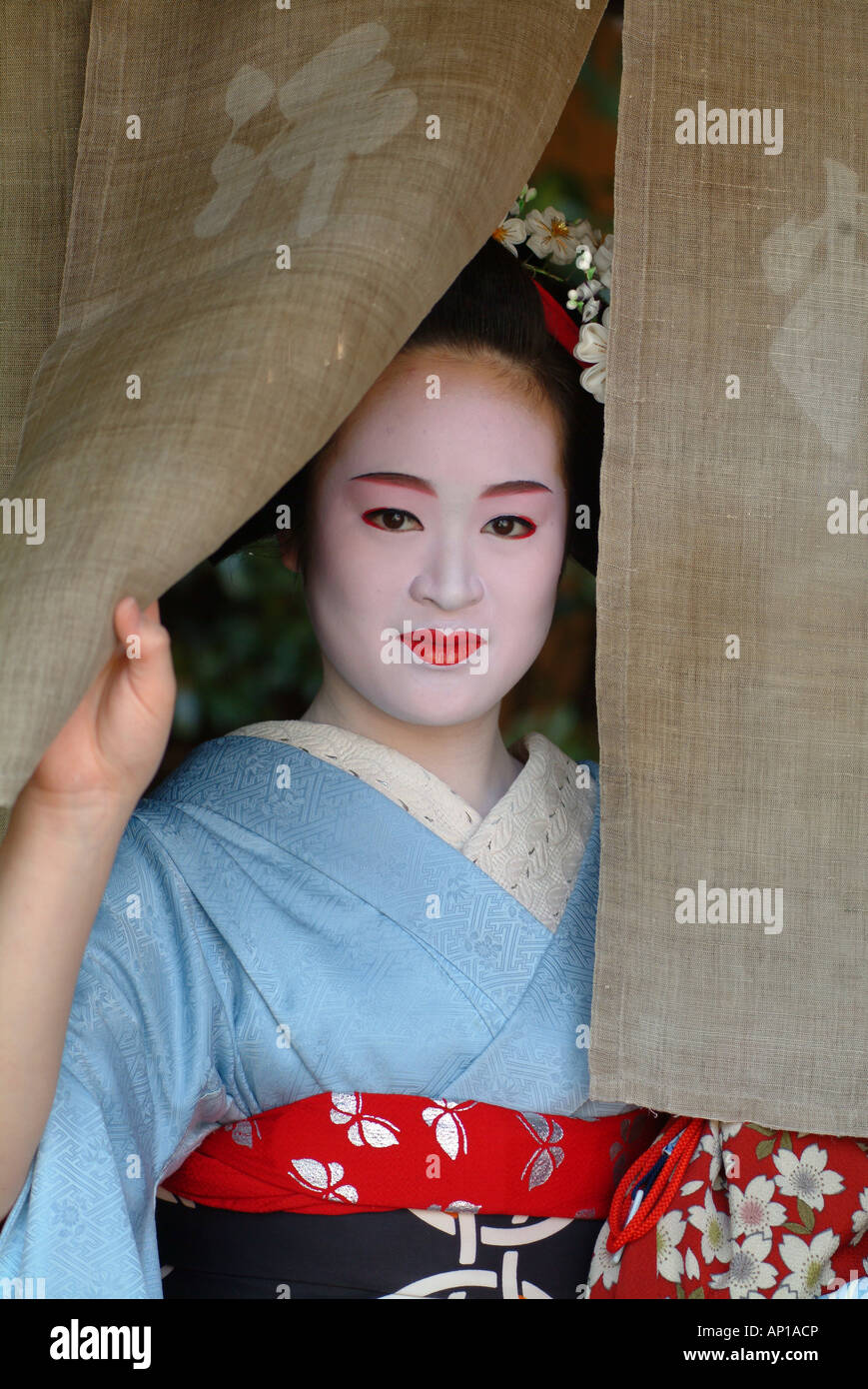 A Geisha in Training, Maiko Masayo, Kyoto, Japan Stock Photo - Alamy