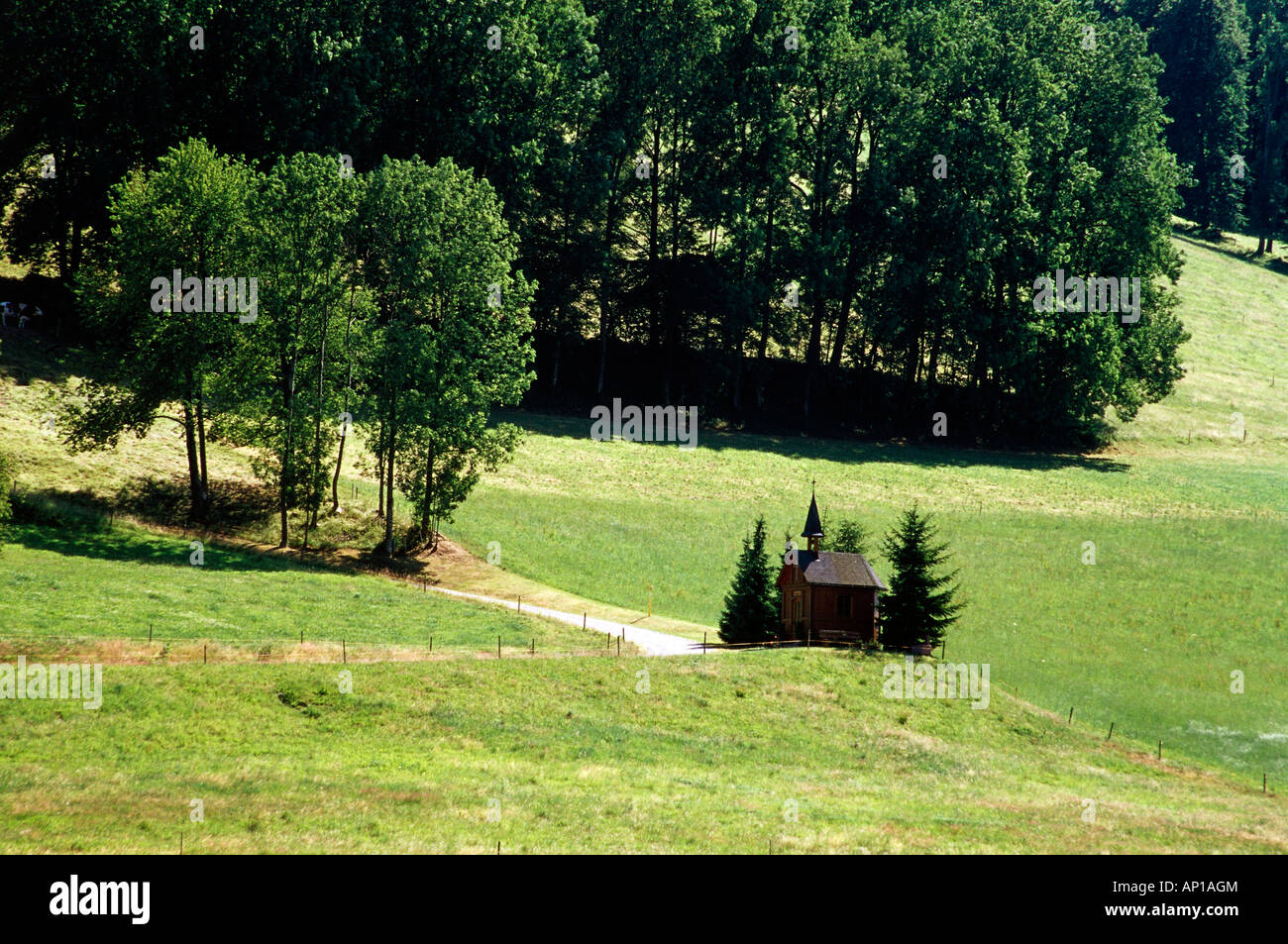 Buchenbach hi-res stock photography and images - Alamy