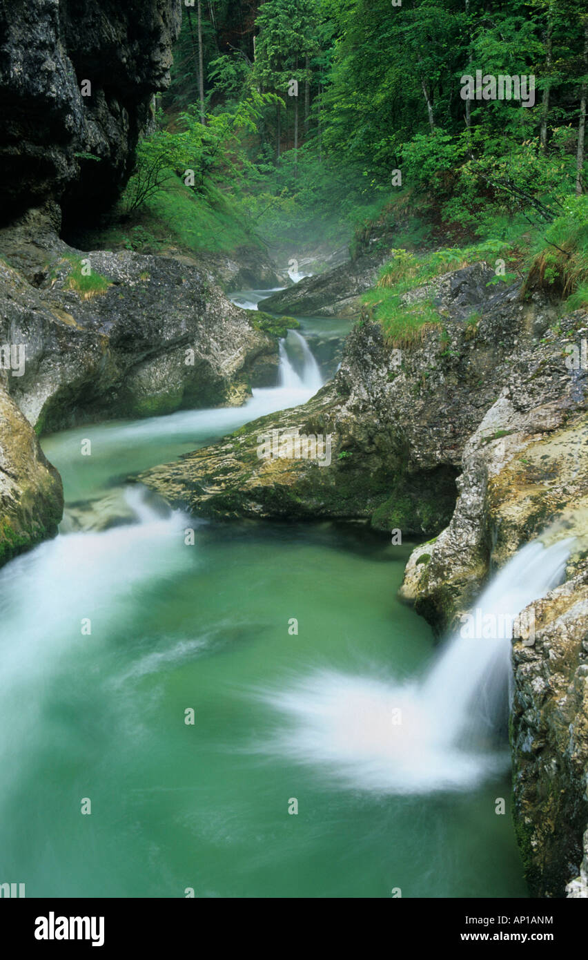 River of Weissbach with waterfalls, Chiemgau, Upper Bavaria, Bavaria ...
