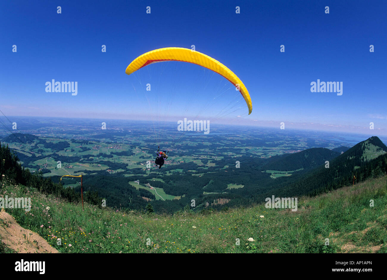 Take-off of paraglider at Hochries, tandem flight, Chiemgau, Upper ...
