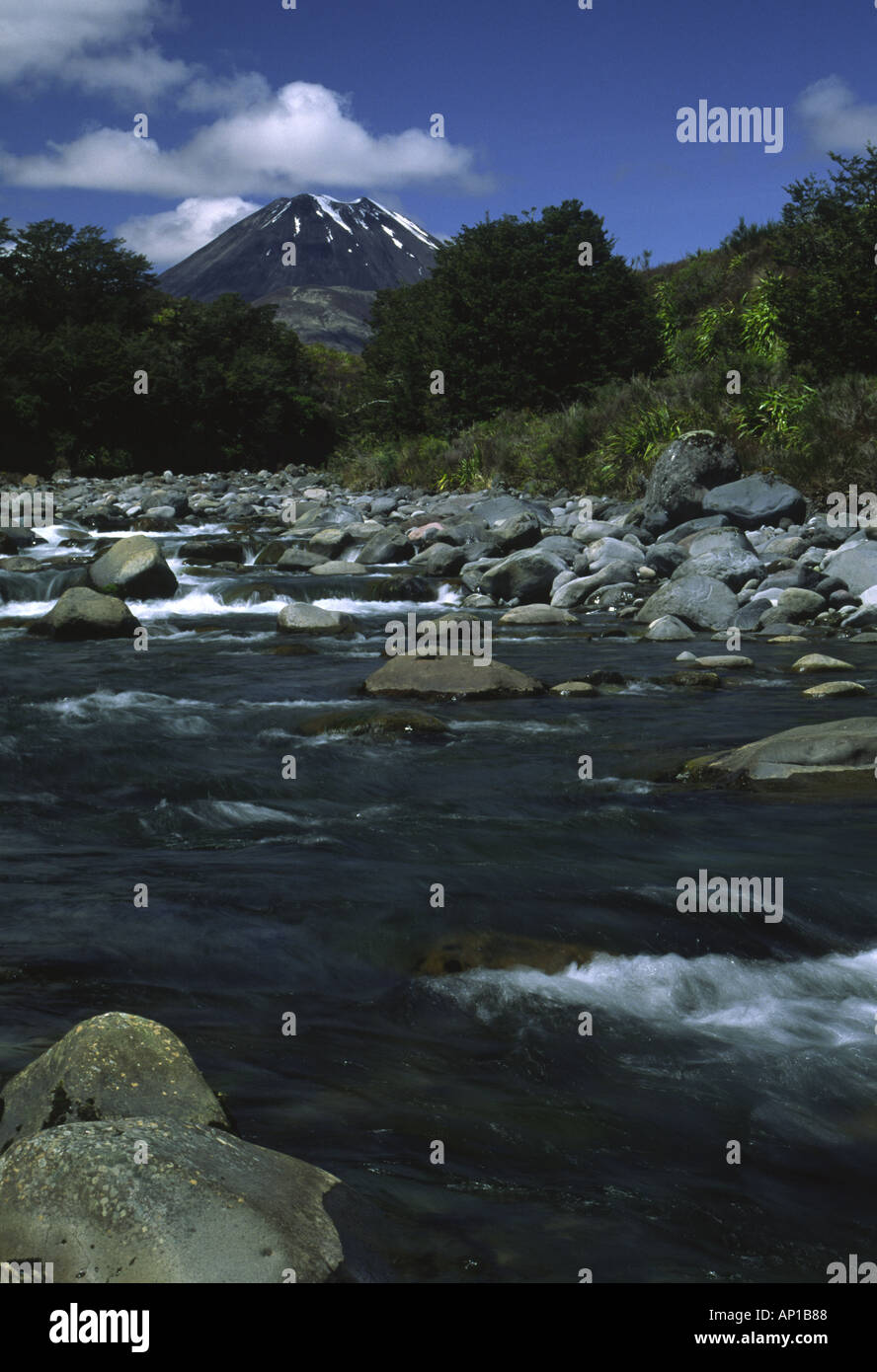 NEW ZEALAND Central Plateau Tongariro National Park Mahuia rapids with ...