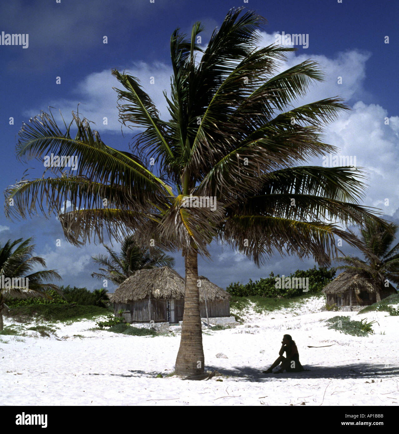 MEXICO Tulum Palm Tree A girl under palm tree located on the caribbean ...