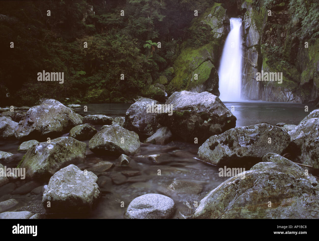 NEW ZEALAND Southland Fiordland National Park Giant Gate Falls a ...