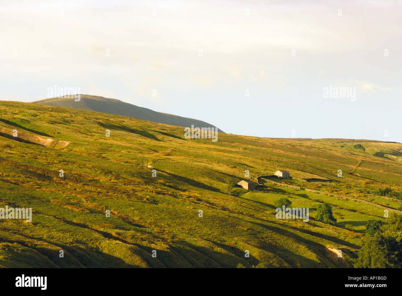 Simon seat hi-res stock photography and images - Alamy