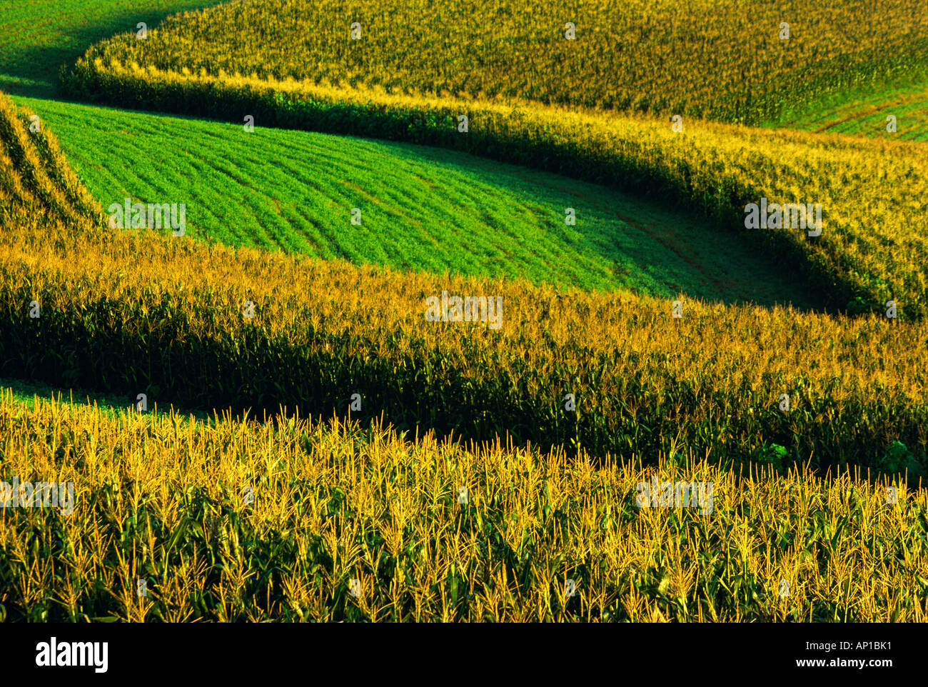 Contour strip farming hi-res stock photography and images - Alamy