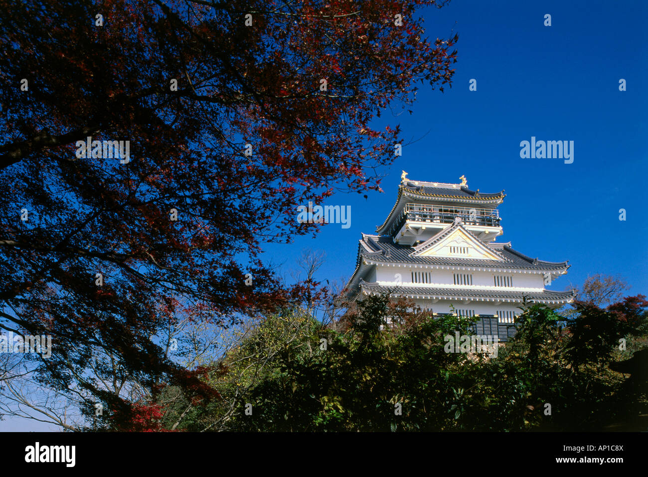 Gifu Castle on Kinkazan Mountain above center of the city, Gifu, Japan ...