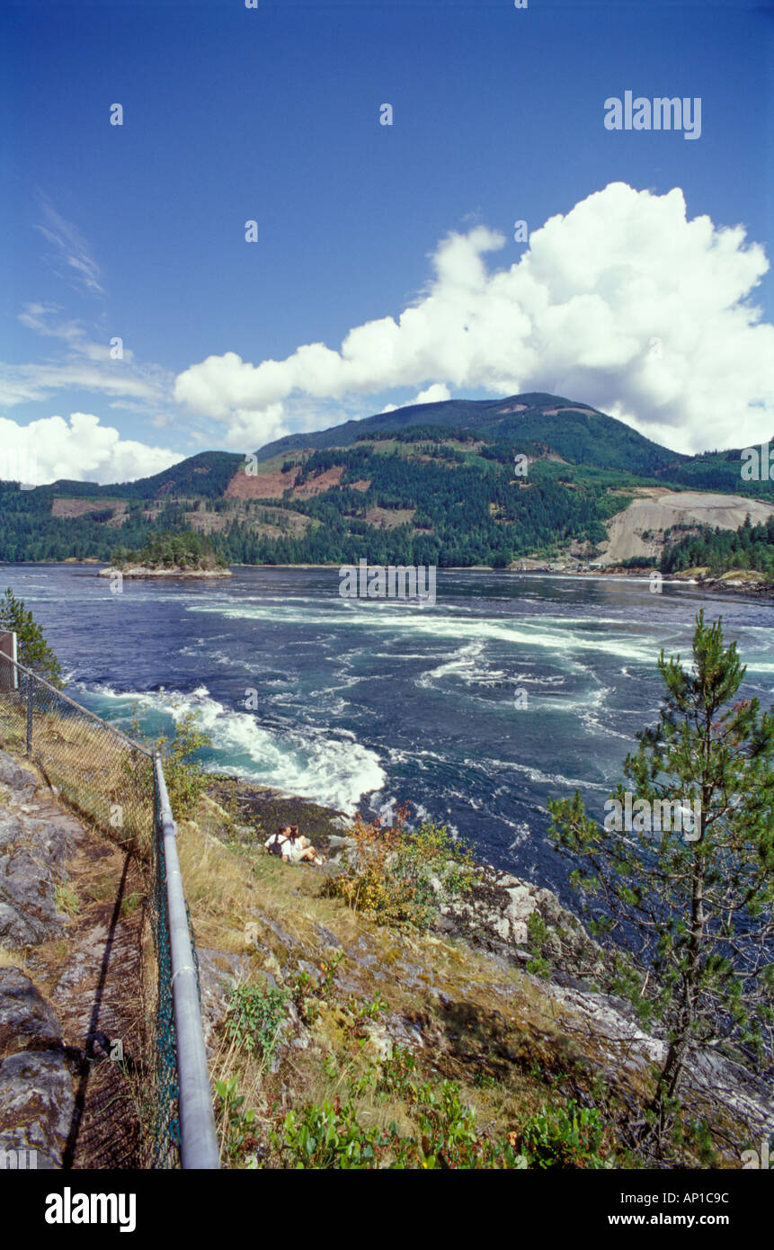 Skookumchuck narrows provincial park hi-res stock photography and ...