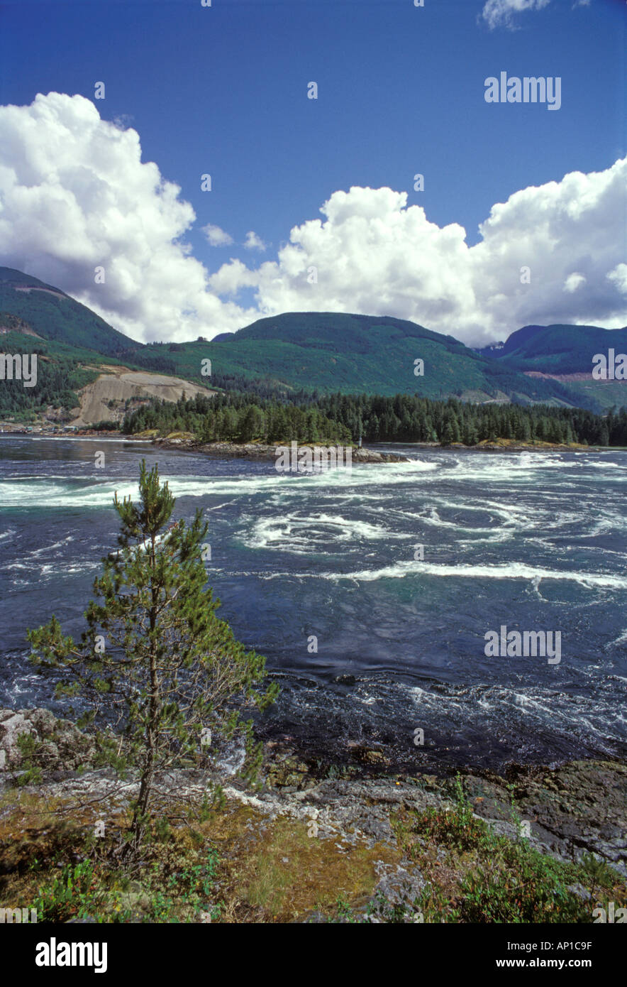 Skookumchuck narrows provincial park hi-res stock photography and ...