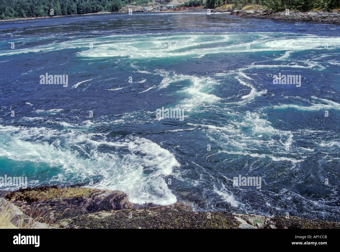Salt water tidal rapids at Skookumchuck Narrows Provincial Park Stock ...