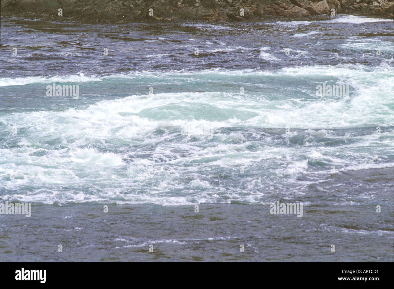 Salt water tidal rapids at Skookumchuck Narrows Provincial Park Stock ...