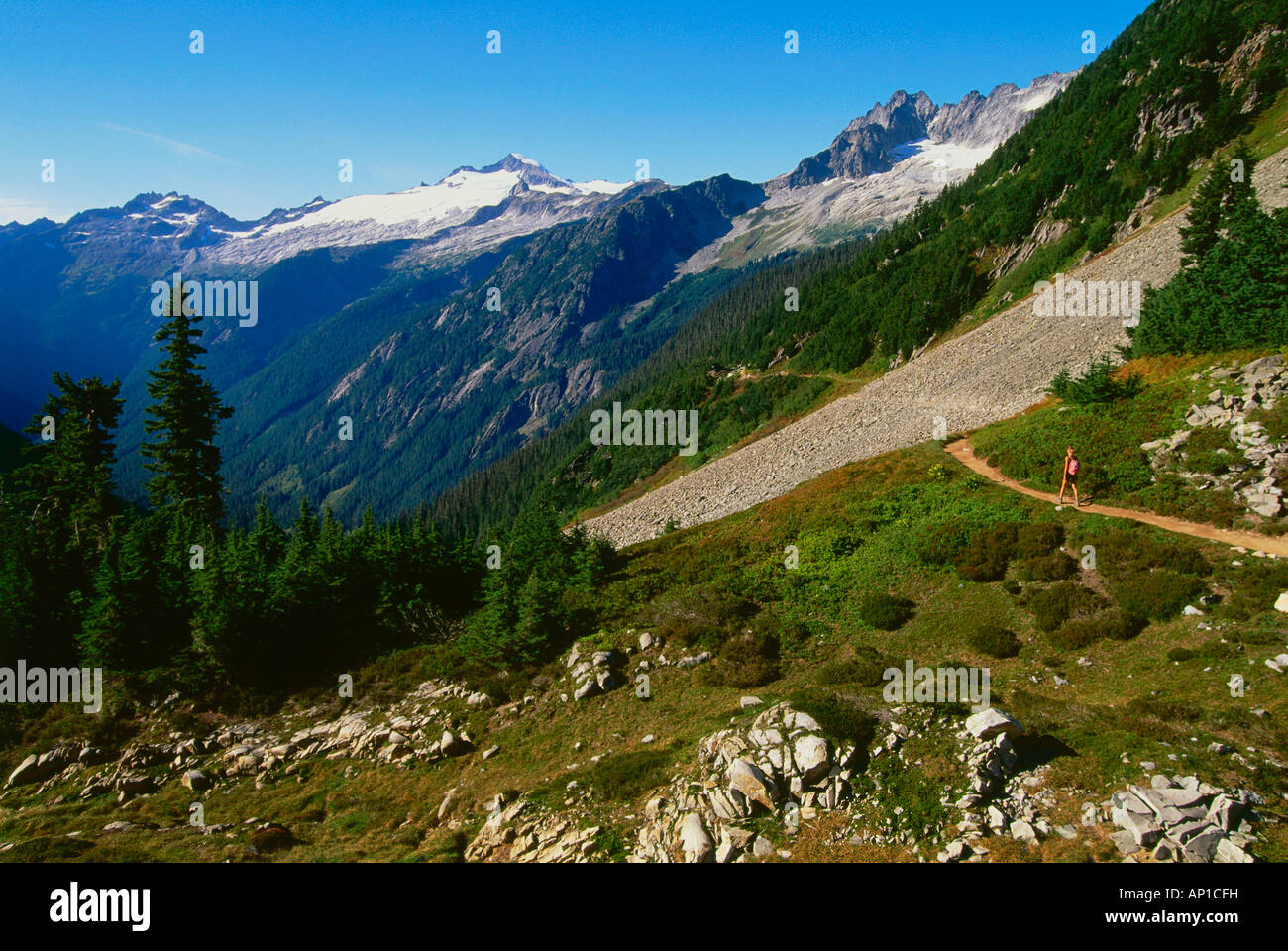 Trail to Cascade Pass, north Cascades national Park, Washington, USA ...