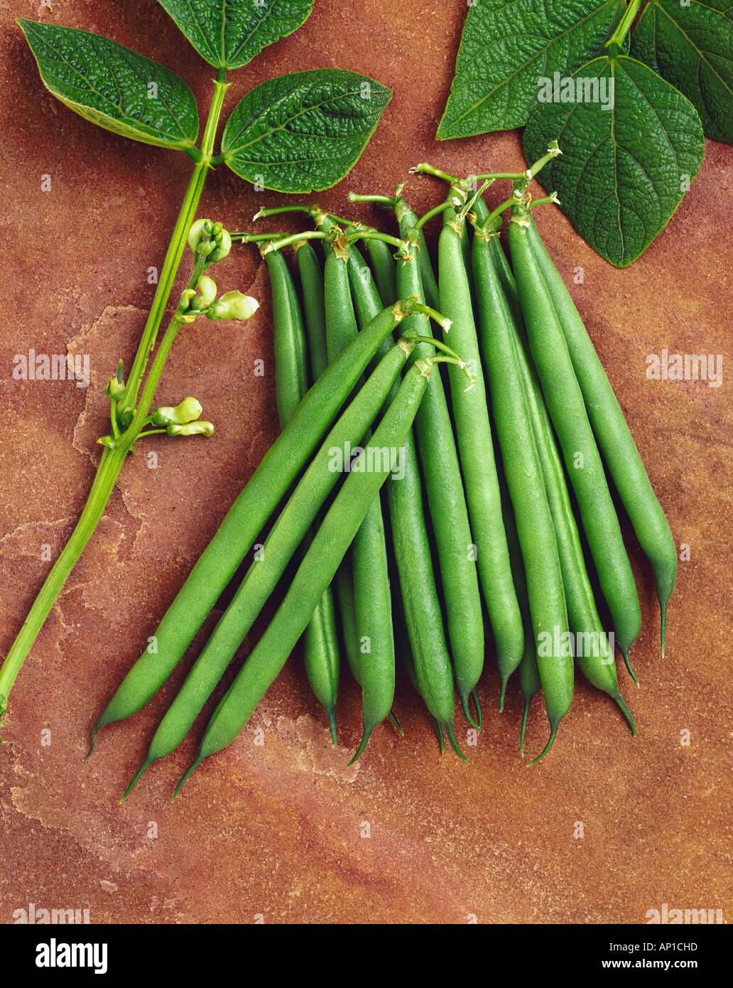 Agriculture - Fresh green beans on a stone background, in studio Stock ...