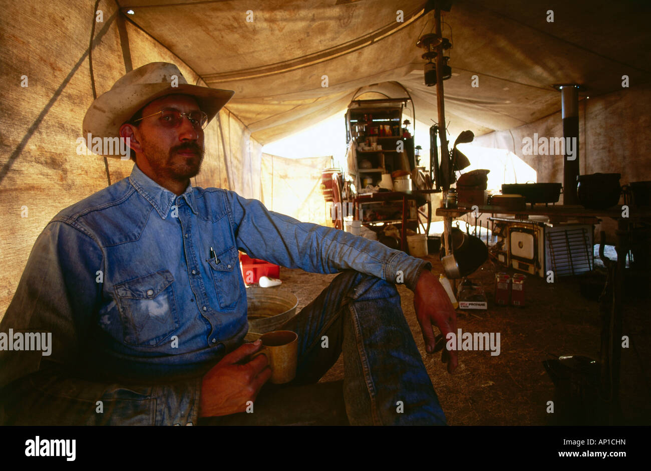 Cowboy Ted Embry, Chuckwaggon, Koch, LX Ranch, TX, USA Stock Photo - Alamy