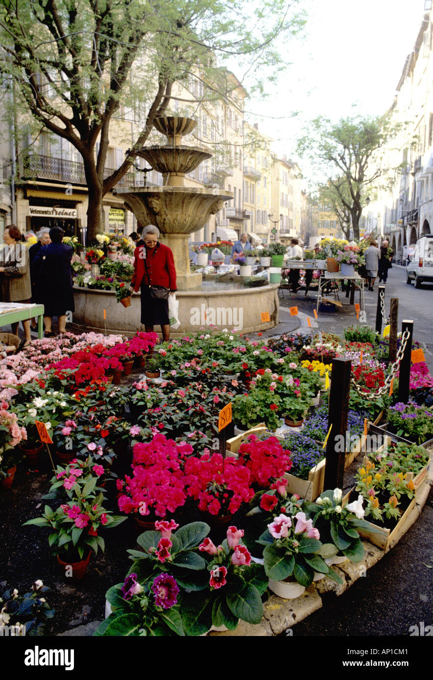 Paris flower street market Stock Photo - Alamy