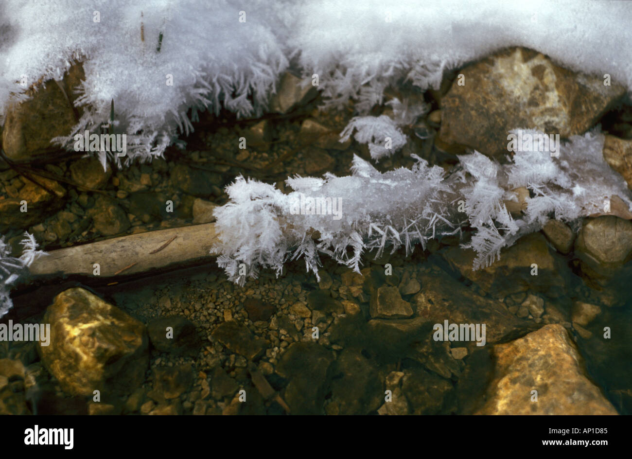 Ice crystals and water surface Stock Photo - Alamy