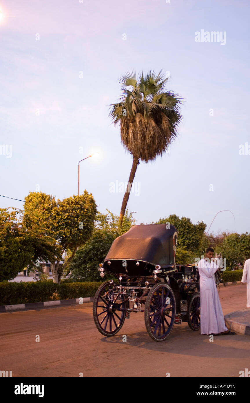 An Egyptian standing next to a horse-drawn carriage, Luxor, Egypt Stock ...