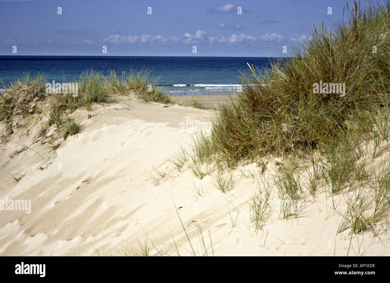 dunes on a beach of ocean Stock Photo - Alamy