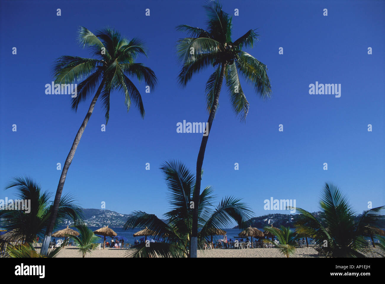 Beach with palm trees, Playa Condesa, Acapulco, Mexico, America Stock ...