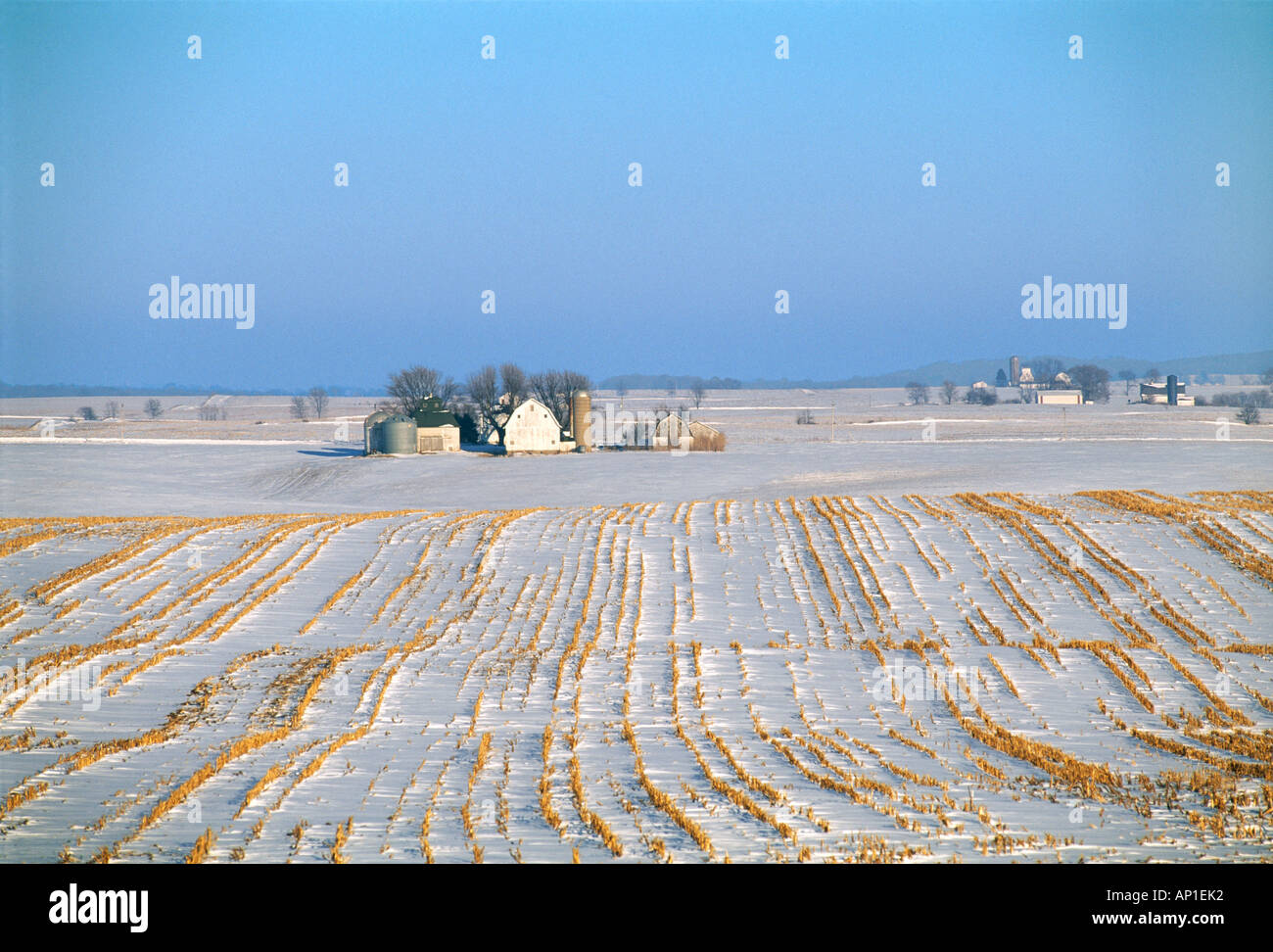 Rolling field of corn stubble with farmsteads in the background and ...