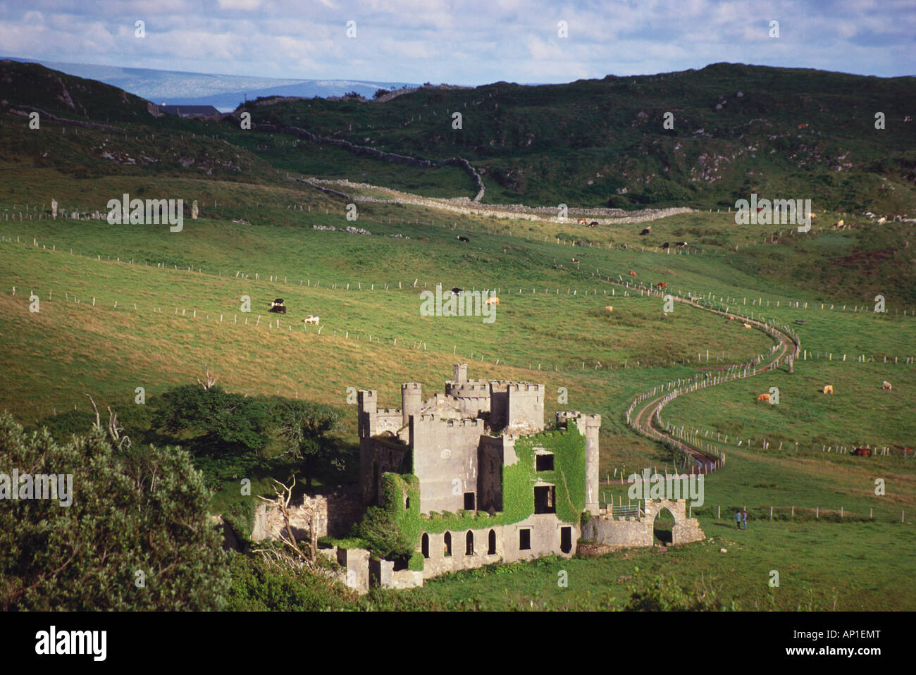 Irish Castle Ruins Wallpaper