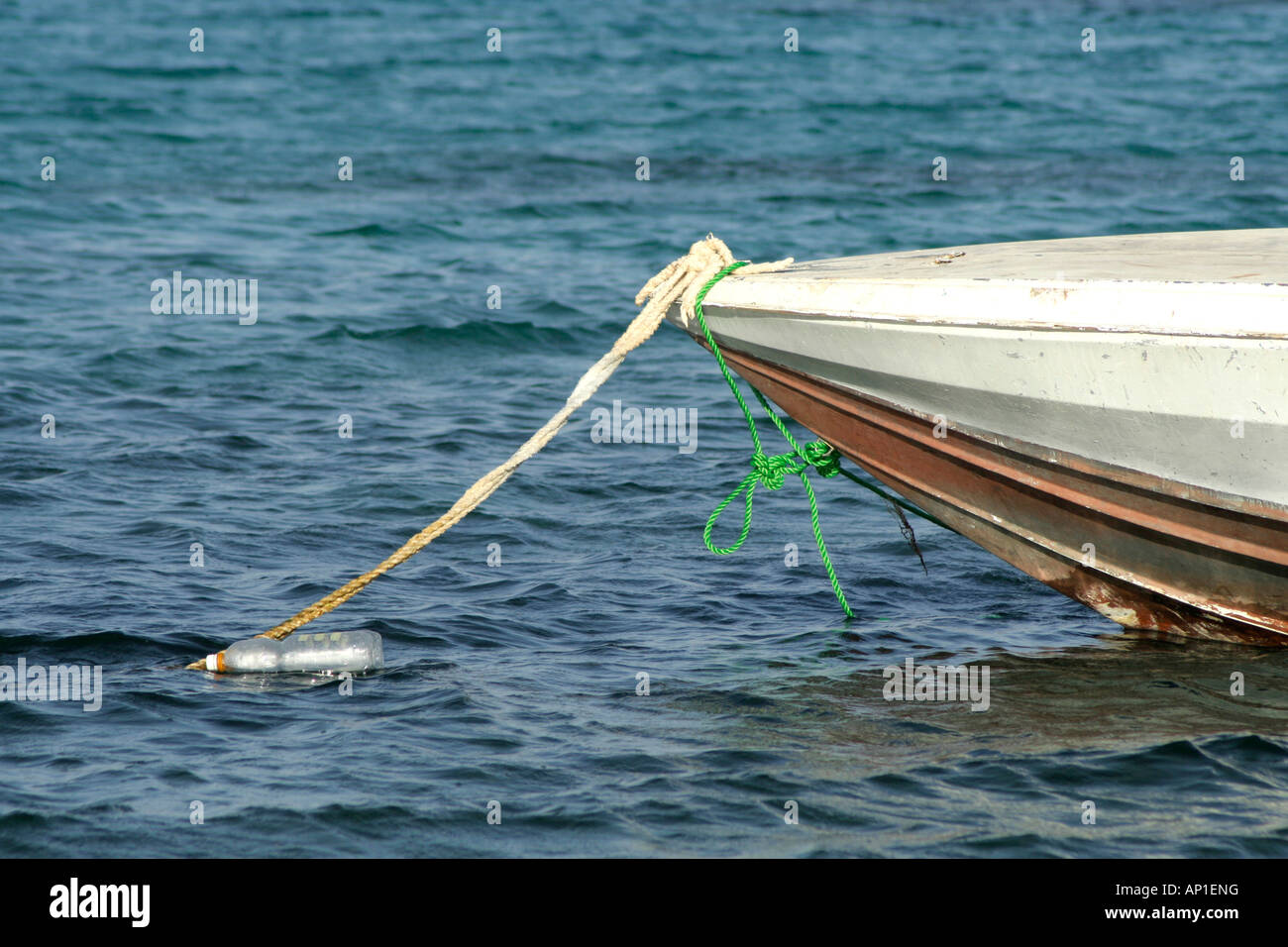 boat red sea sinai egypt Stock Photo - Alamy