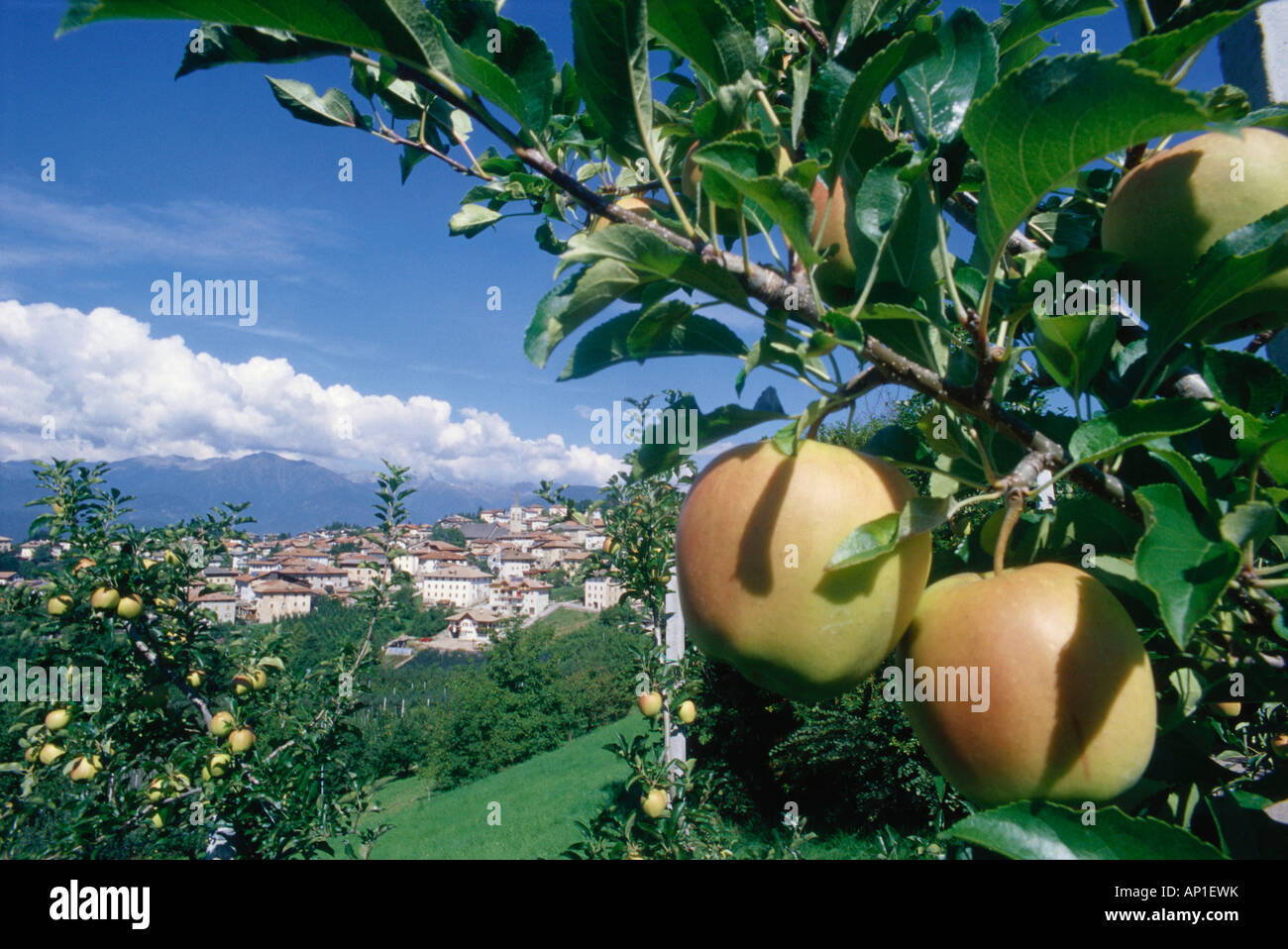 Coredo hi-res stock photography and images - Alamy