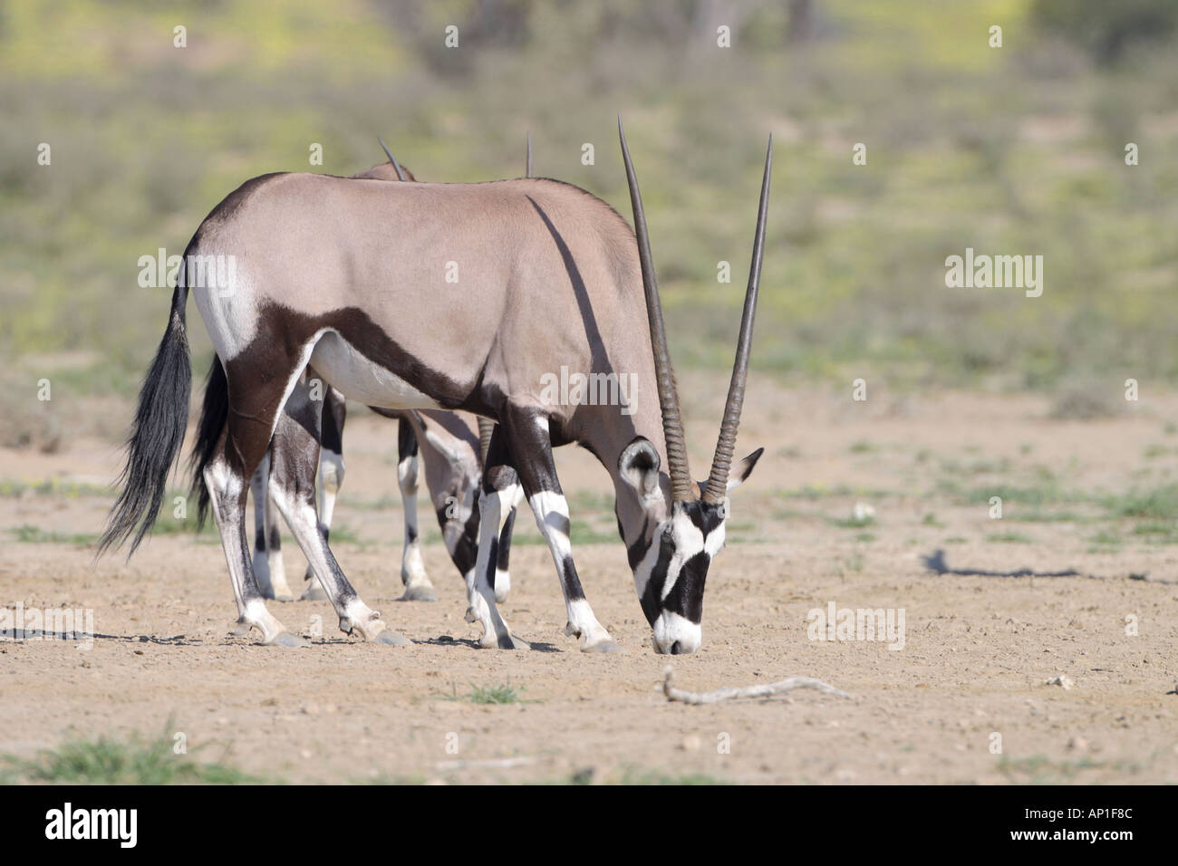 Eating soil africa hi-res stock photography and images - Alamy