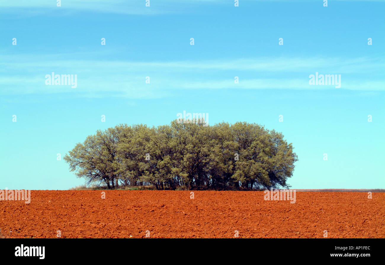 Red dirt cotton field hi-res stock photography and images - Alamy