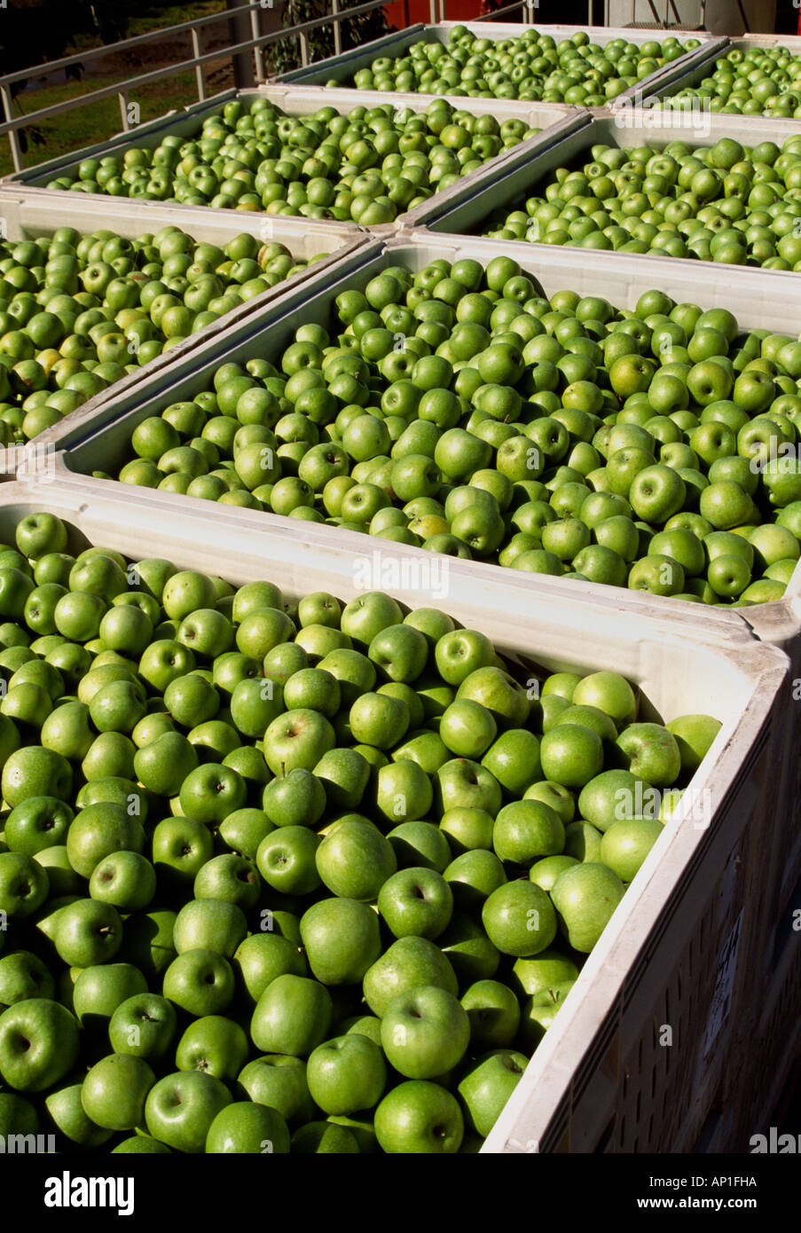 Bins washed on truck hi-res stock photography and images - Alamy