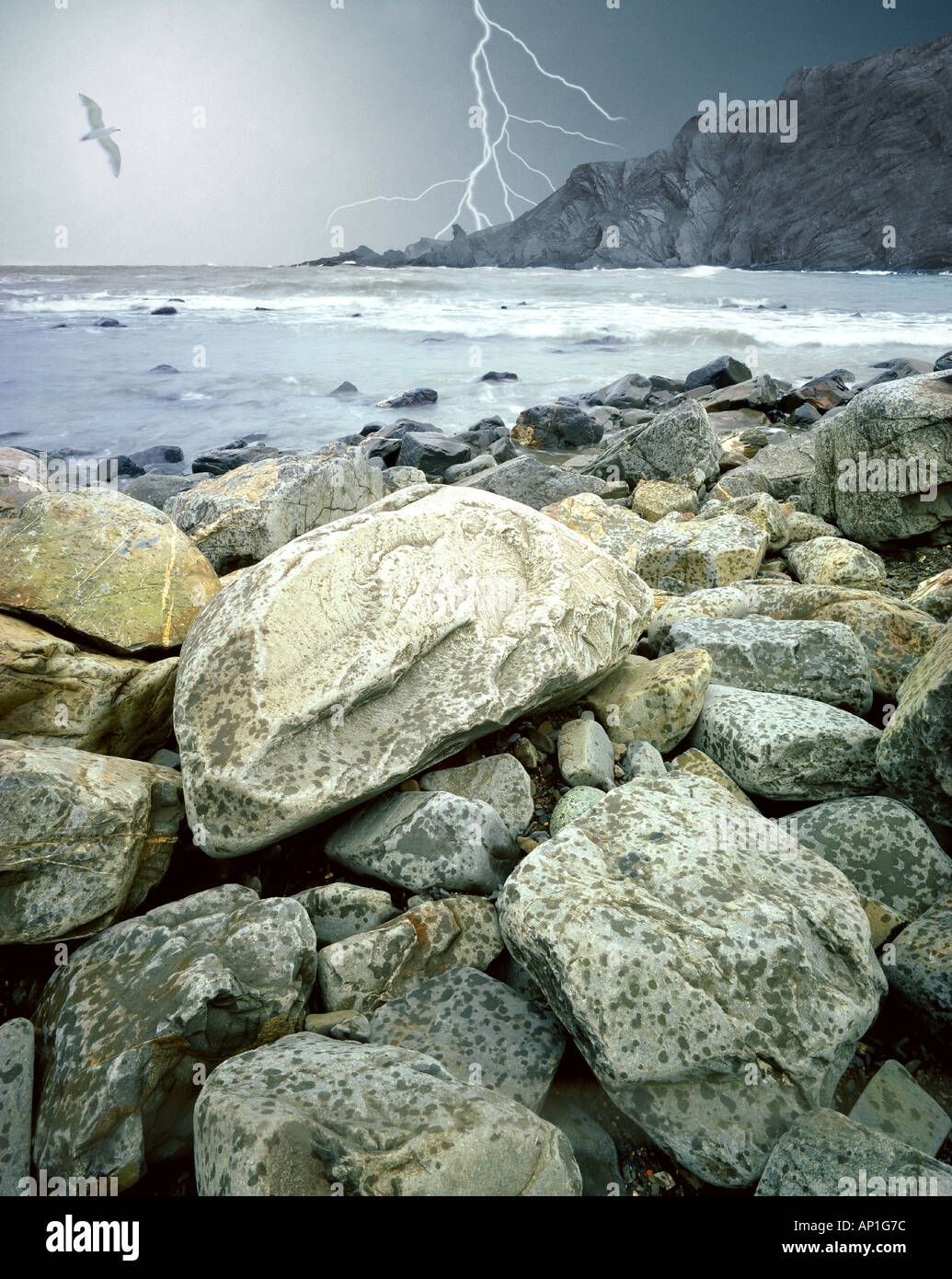 Devonshire bay hi-res stock photography and images - Alamy