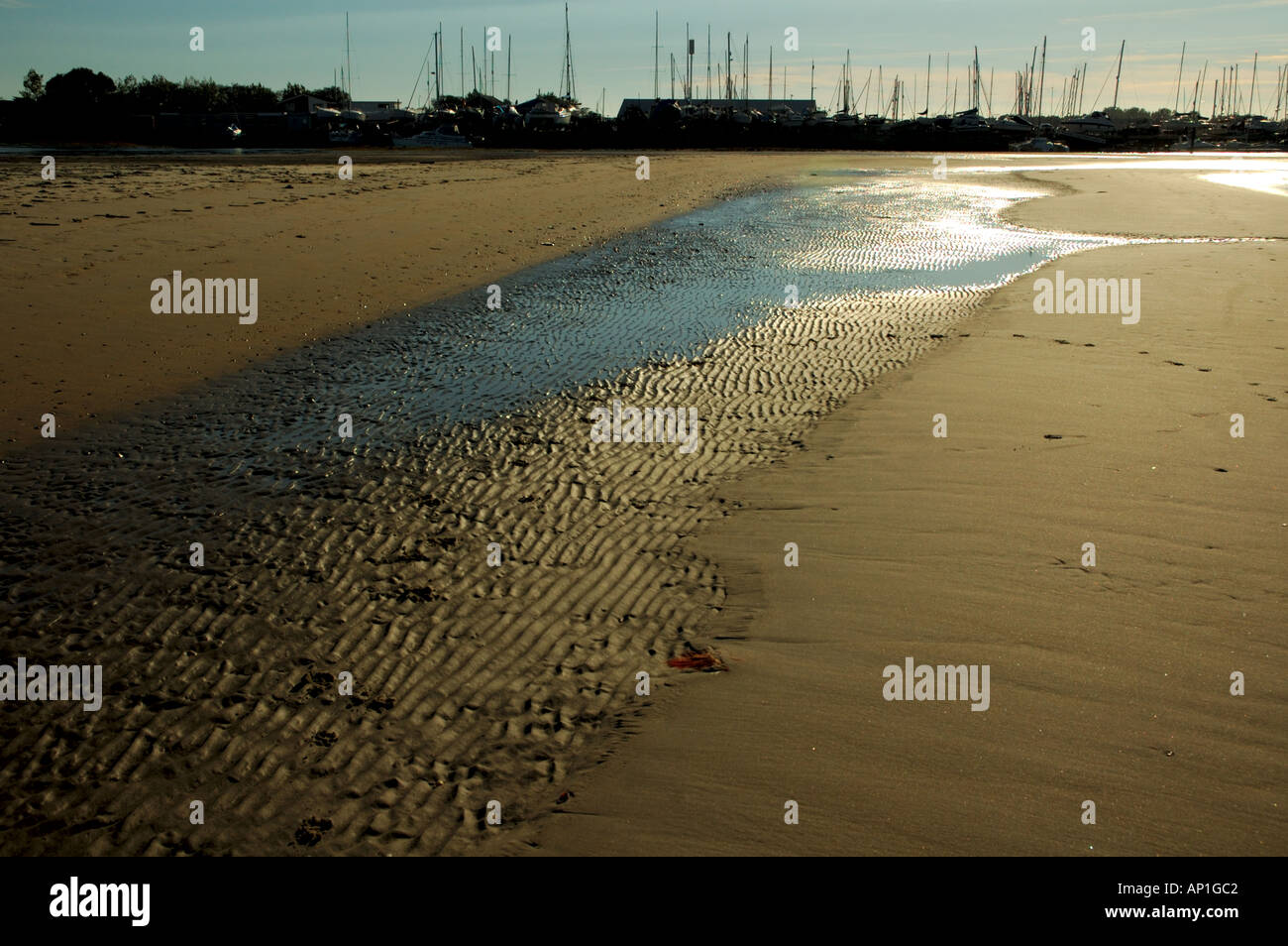 Sun reflecting off shallow water on tidal sandy beach Stock Photo - Alamy