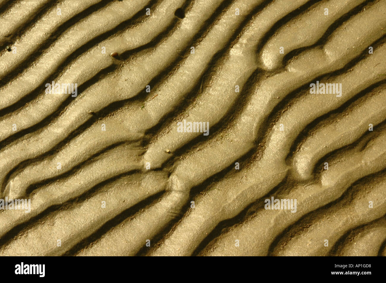 Sandy ripple patterns hi-res stock photography and images - Alamy
