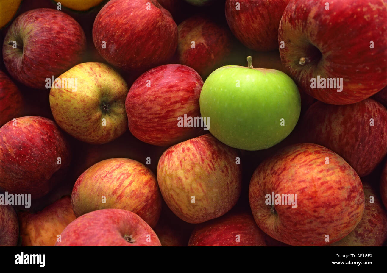 Out except hi-res stock photography and images - Alamy