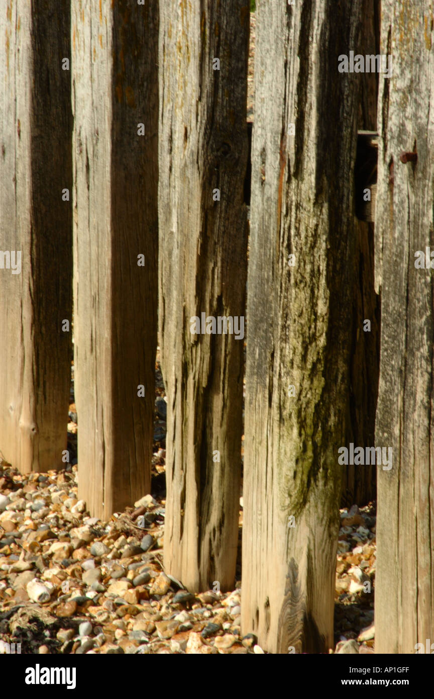 Pattern of posts on sea shore Stock Photo - Alamy