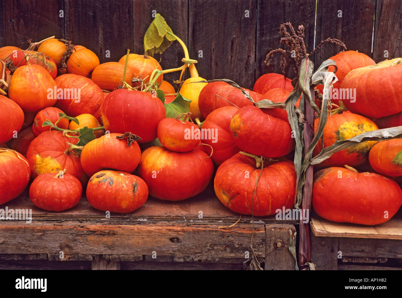 Fall of sebastopol hi-res stock photography and images - Alamy