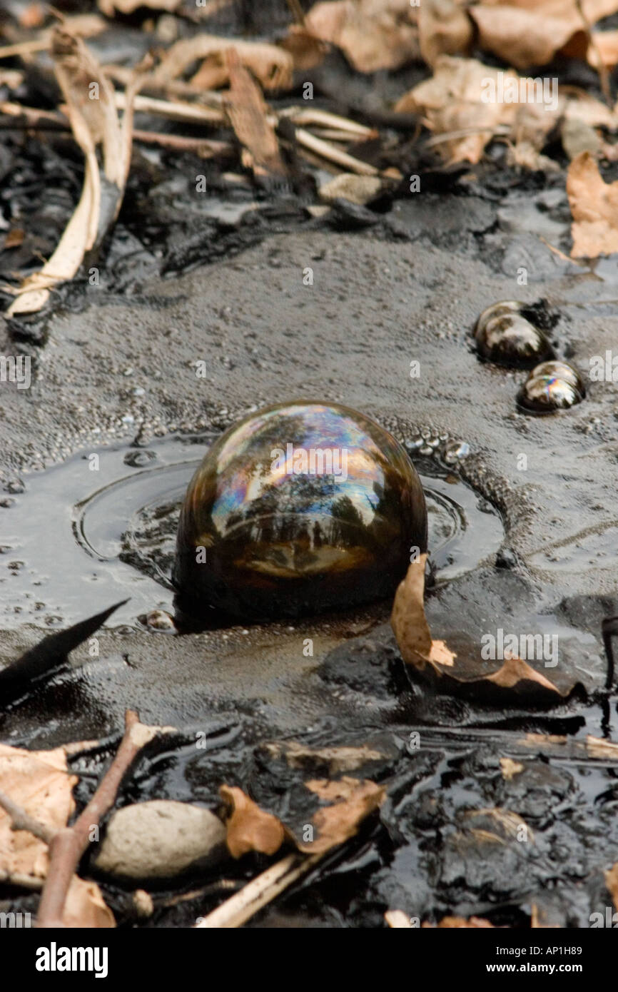 Tar pits hi-res stock photography and images - Alamy