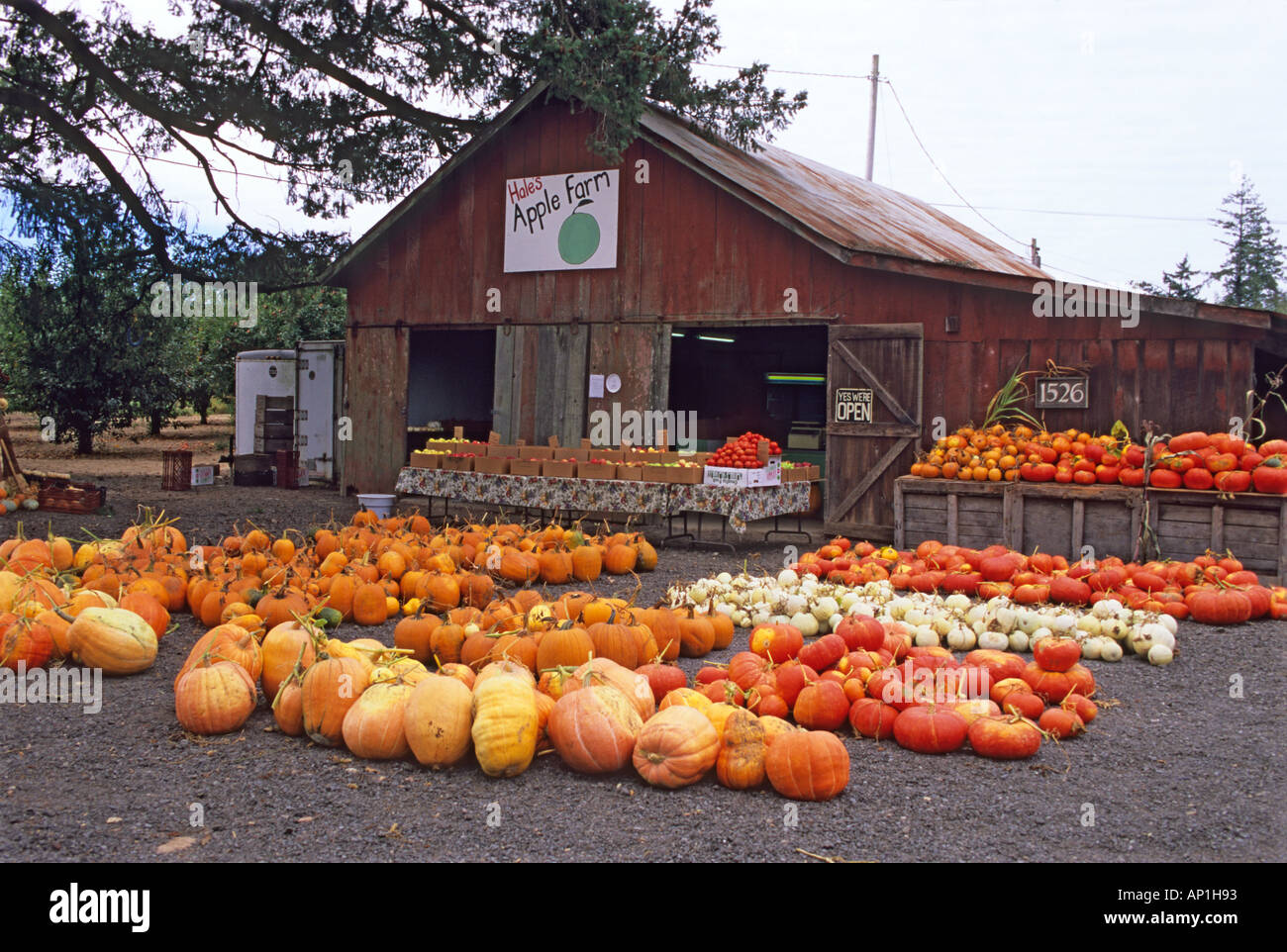 Fall of sebastopol hi-res stock photography and images - Alamy