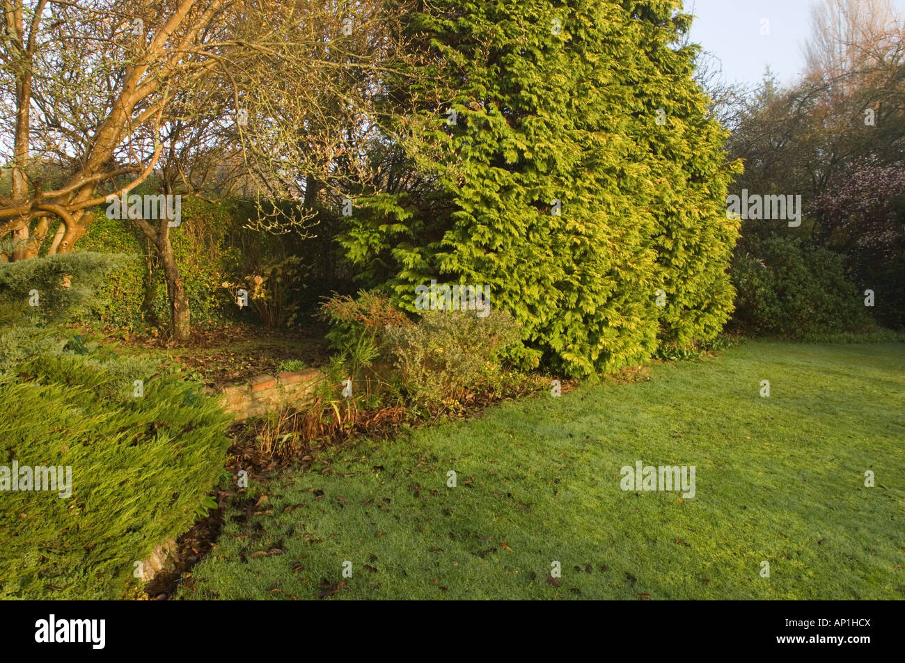 suburban garden in autumn Kent UK Stock Photo - Alamy