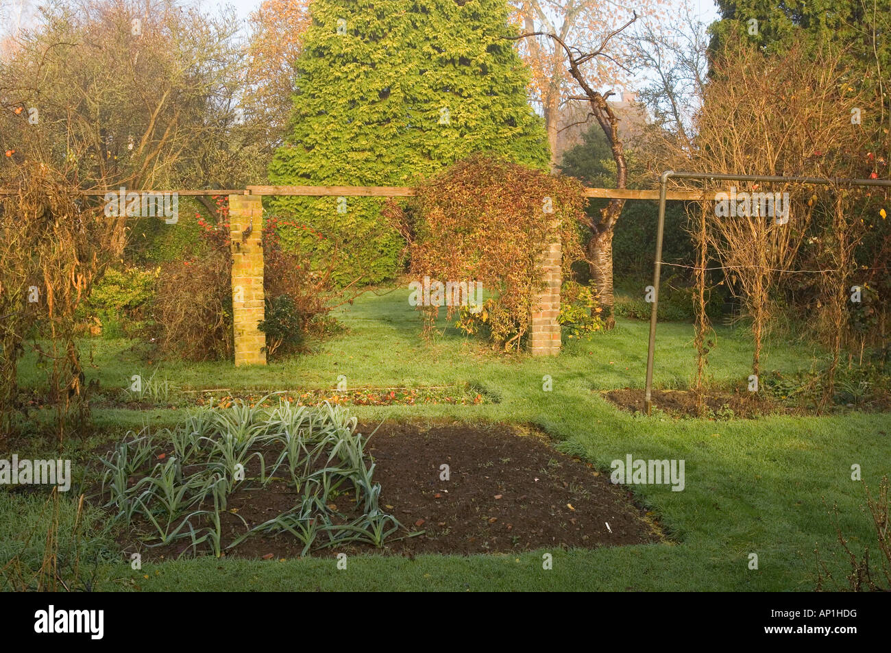 suburban garden in autumn Kent UK Stock Photo - Alamy