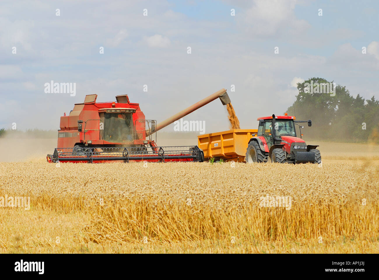 Combine harvester at work, Essex, UK Stock Photo - Alamy