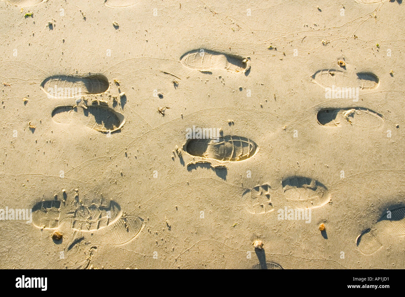 footprints a sandy sea shore beach with a few pebbles Stock Photo - Alamy