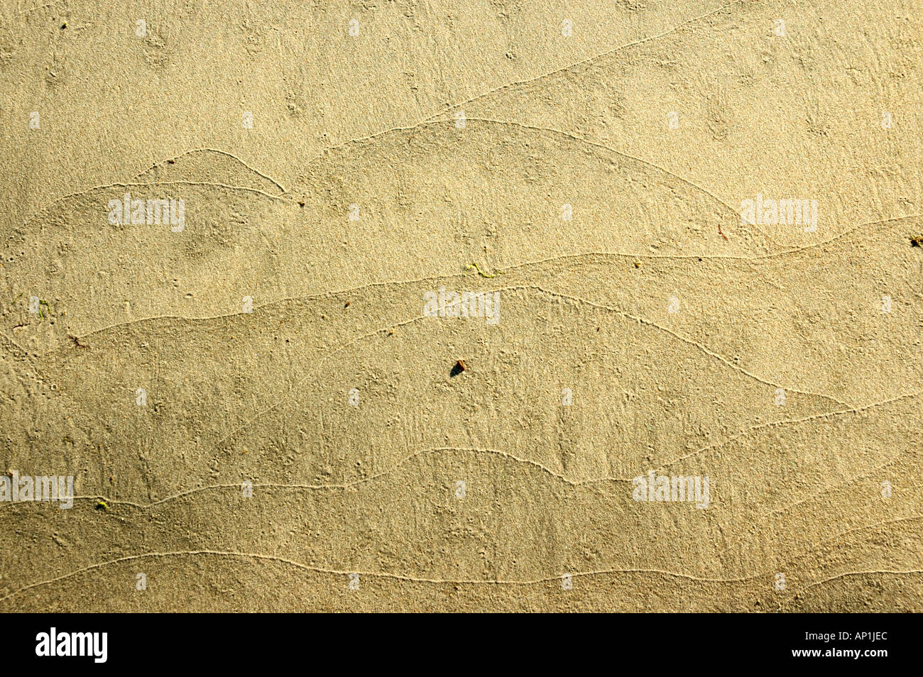 water marks in sand on sea shore Stock Photo - Alamy
